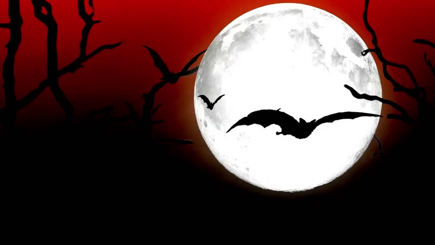 Blacula: The Animated Series – She's coming out of the coffin to save ...